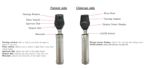 How to perform fundoscopy with a direct ophthalmoscope - Journal of the ...