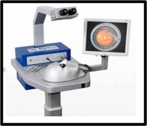 Eye-Si Simulation: An Overview - Journal of the Foundations of ...